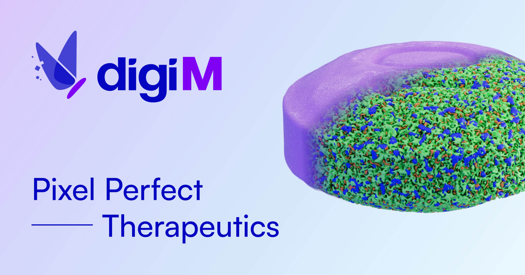 About - DigiM Solution